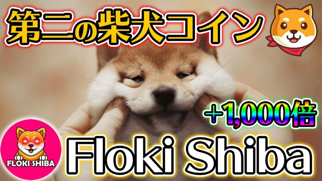 今話題の「Floki Shiba」で億り人になれる？買い方など解説！【第2のSHIBA INU(柴犬)コインを探せVol.3】 - ToraTora【トラトラ】