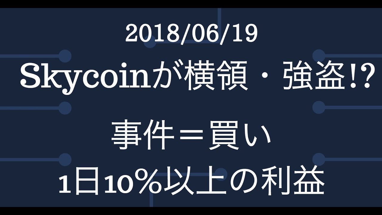 2018/06/19 スカイコイン（skycoin）が横領/強奪！？デイトレで10%以上の利益 - ToraTora【トラトラ】